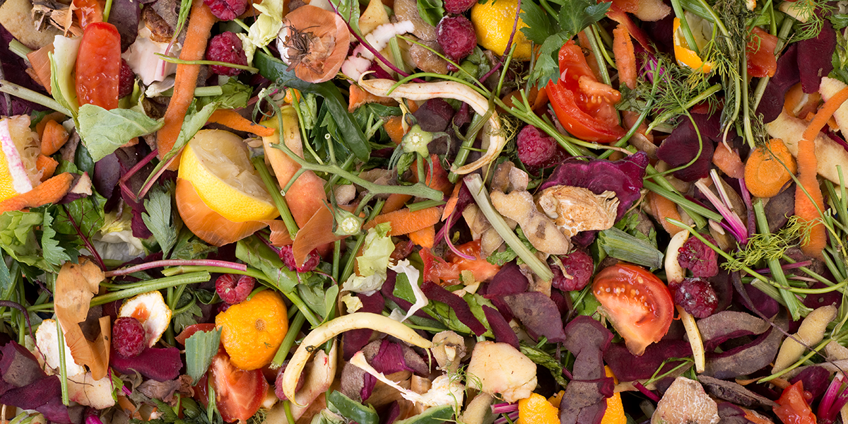 Environment Agency Scraps On-Site Food Waste Permits - Mechline